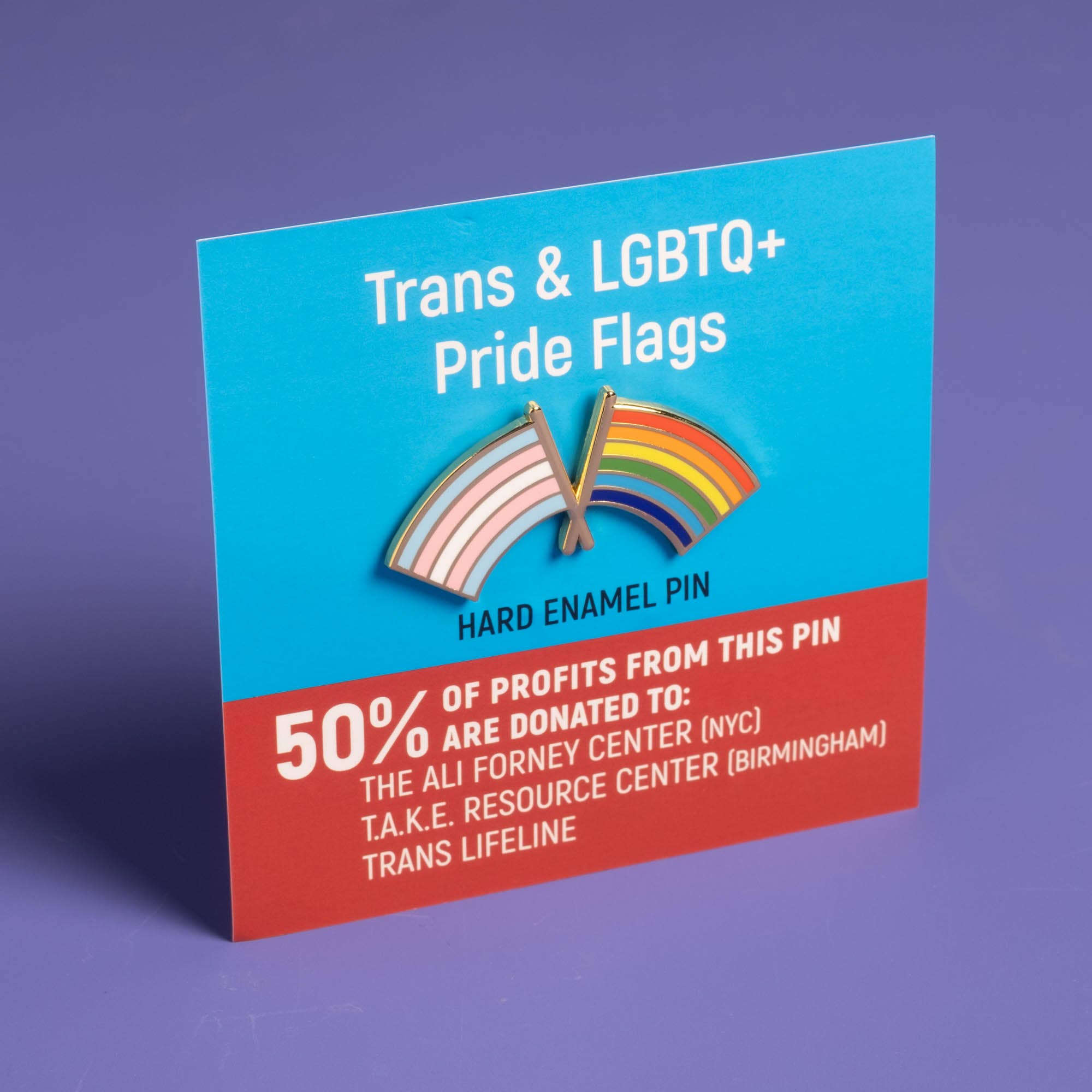 Trans and LGBTQ+ Pride Flag Combo Pin – Beardsgaard